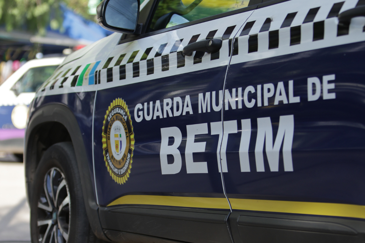 Cão come peça de roupa do tutor e sofre fratura no fêmur após ser ...