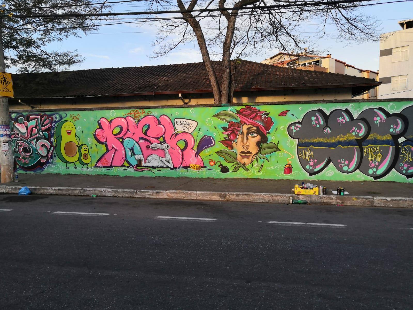 Arte do grafite no muro da biblioteca pública de Betim é finalizada ...