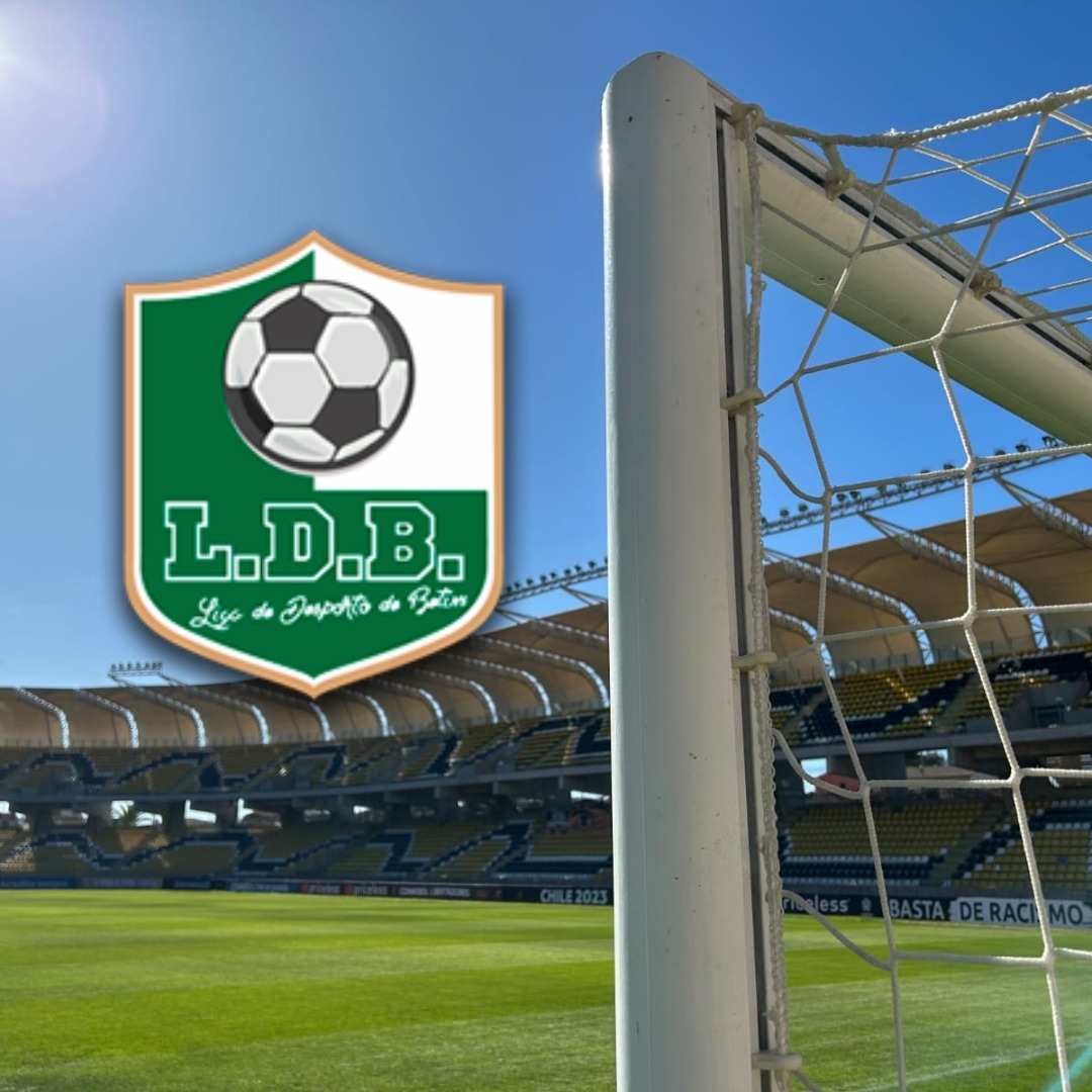 Liga de Desportos de Betim divulga calendário esportivo para 2024 | O ...